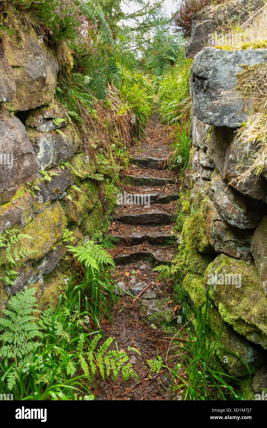 Tappoch Broch, better known as Torwood Broch, is an iron-age broch ...