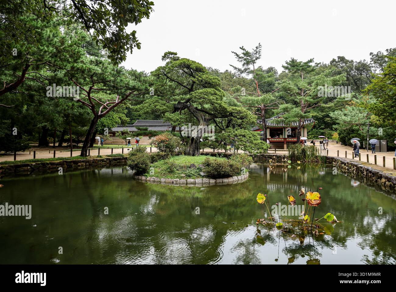SEOUL, SOUTH KOREA - OCTOBER 11, 2025 - Traditional Korean garden with ...