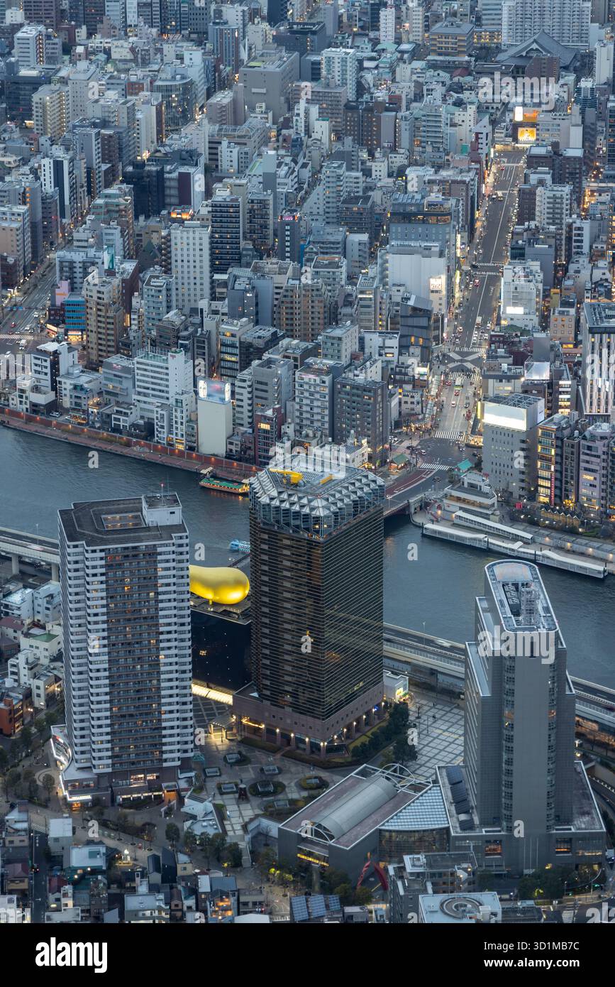 Birdview from the The Sakura Skytree tower in Tokyo Japan during ...