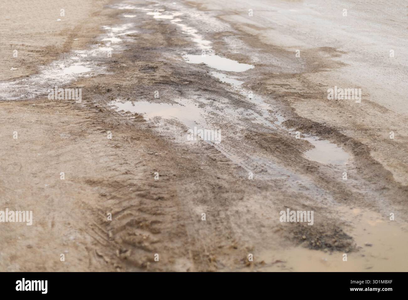 After recent rainfall, a dirt road displays puddles and wet patches ...
