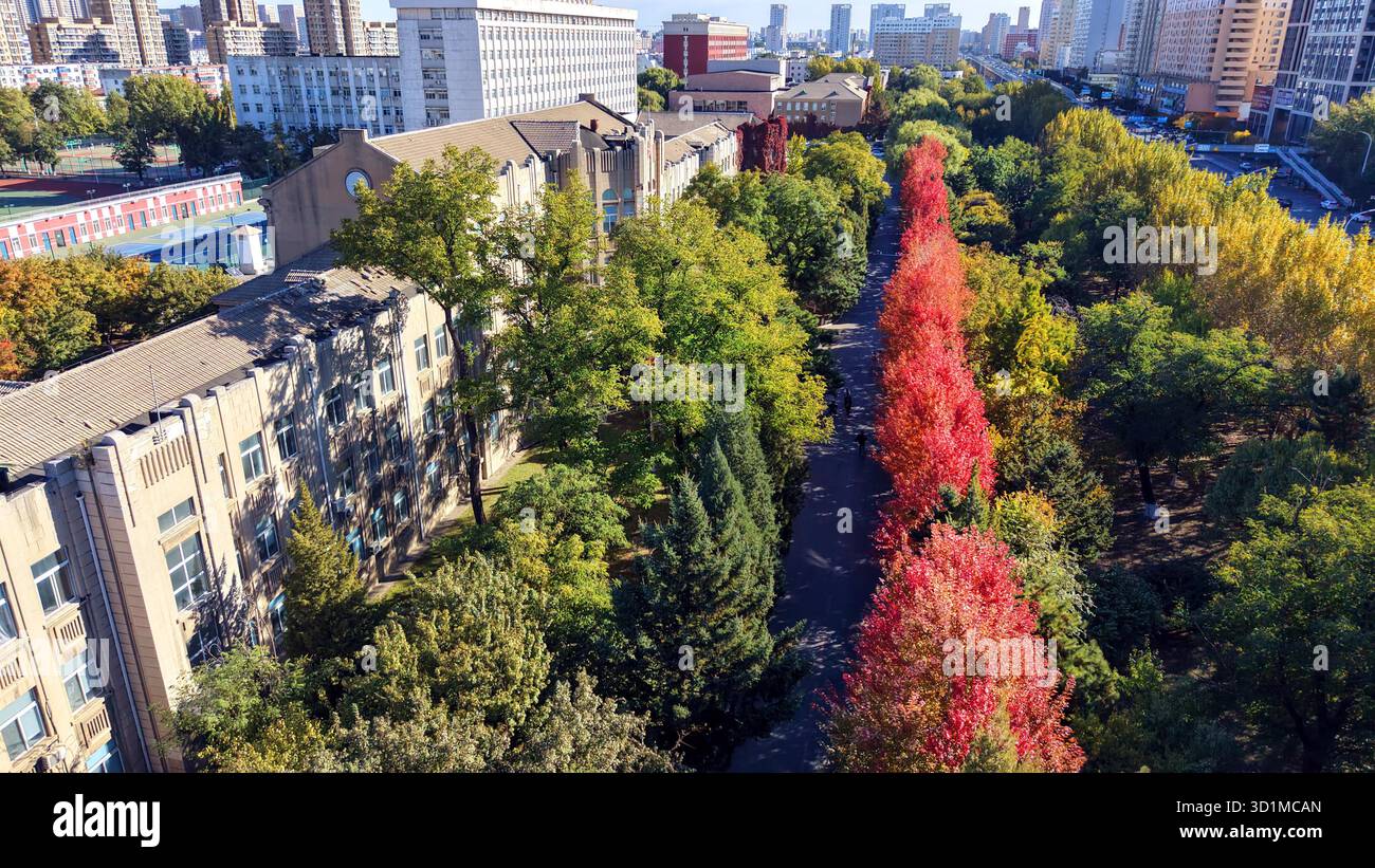Aerial photo shows the autumn scenery of Liaoning University in ...
