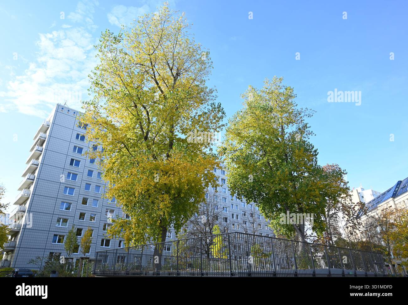 PRODUCTION - 29 October 2025, Berlin: Trees stand in front of a block ...