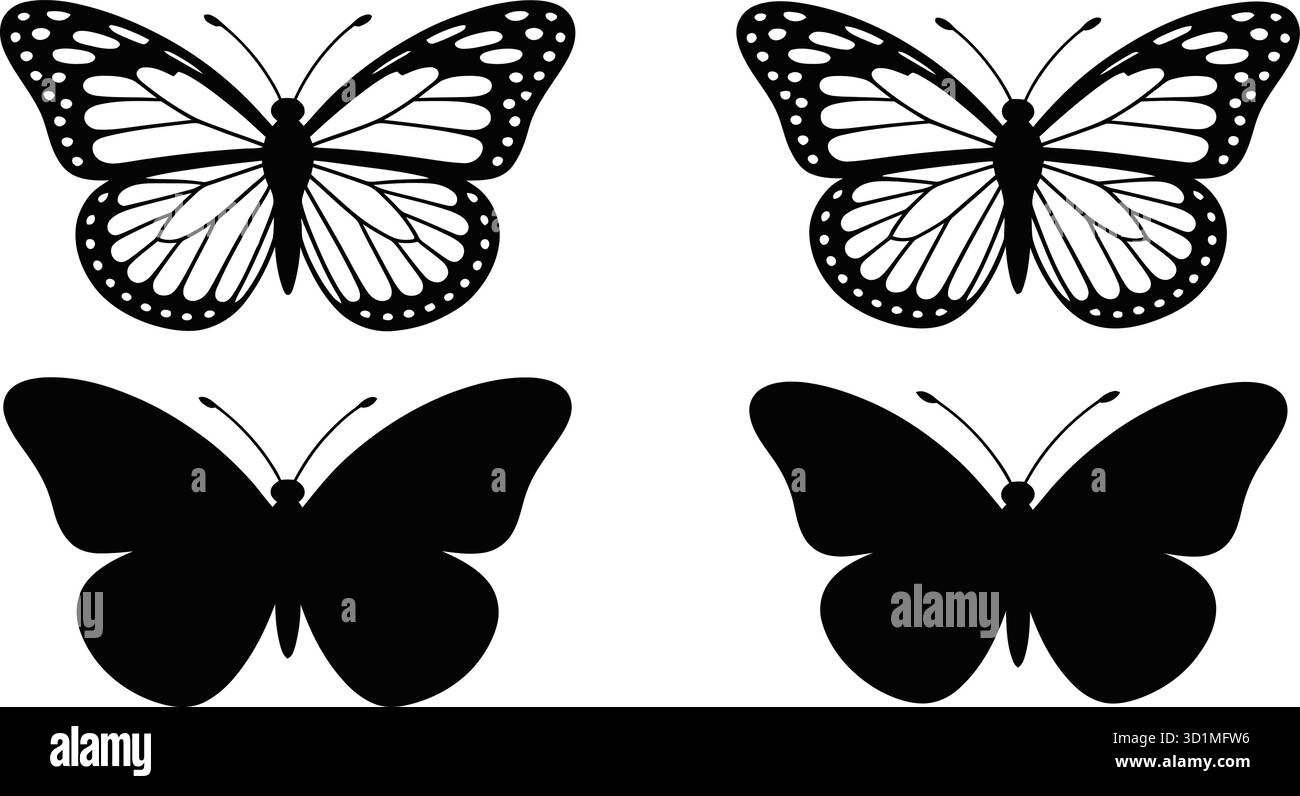 Detailed pollinator Black and White Stock Photos & Images - Alamy