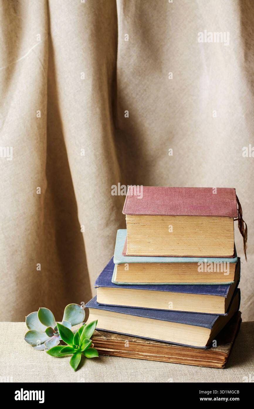 Stack of old books. Retro style Stock Photo - Alamy
