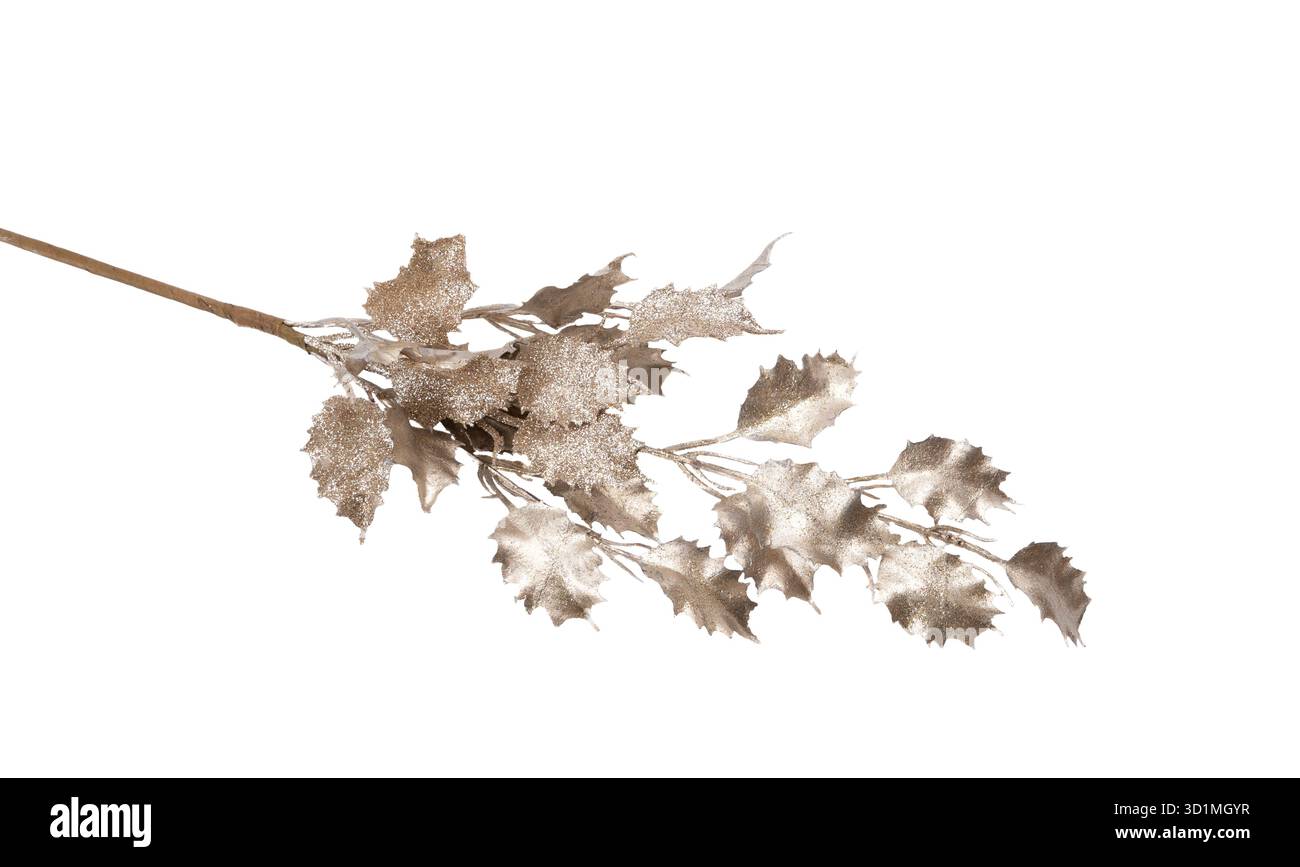 Branch golden holy leaves hi-res stock photography and images - Alamy