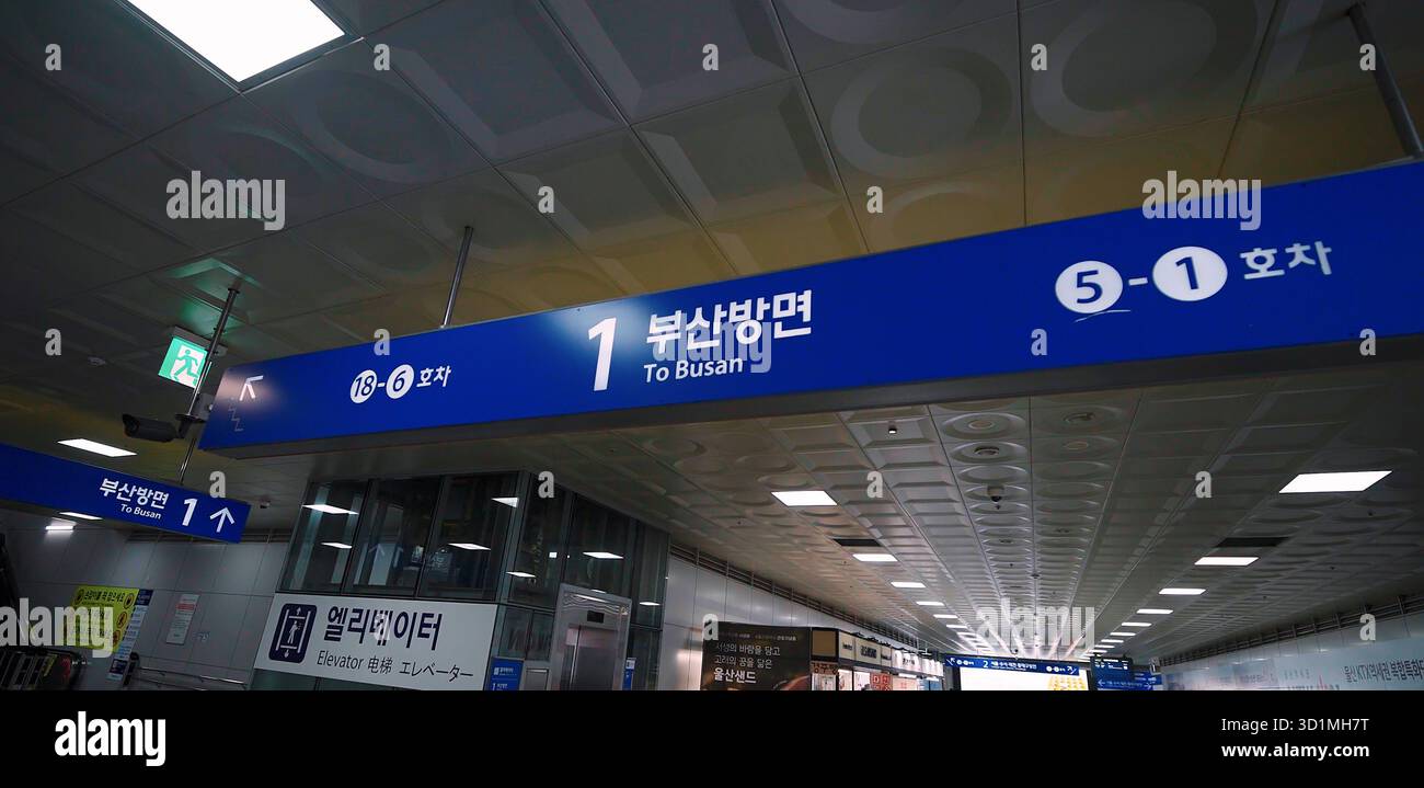 ULSAN, SOUTH KOREA - OCTOBER 10, 2025 - Blue directional sign with ...