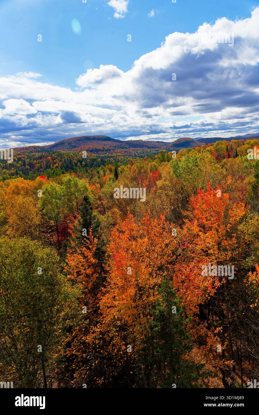 Les forêts du Québec en automne : un tableau de couleurs vivantes ...