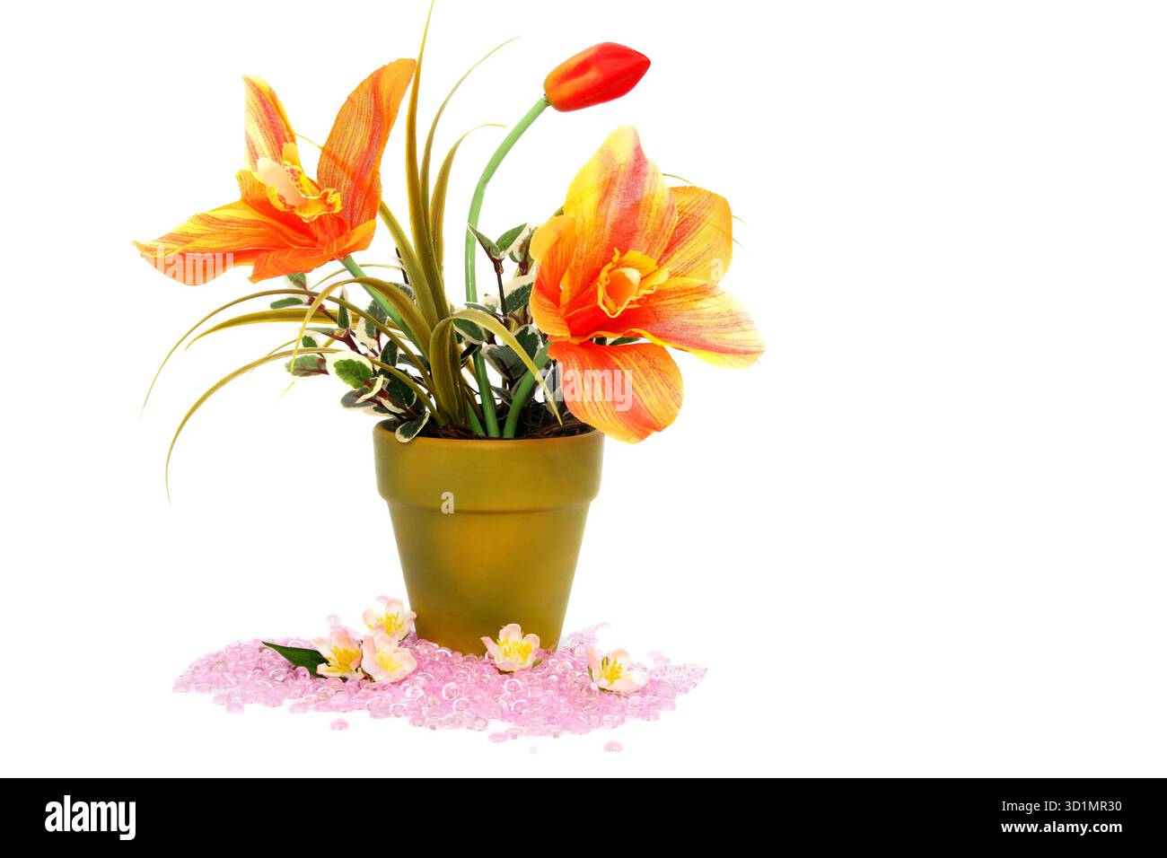 Grey brown flowers Cut Out Stock Images & Pictures - Alamy