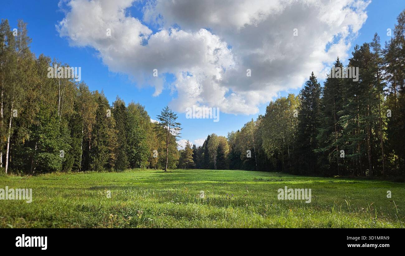 Rural russian landscape hi-res stock photography and images - Alamy
