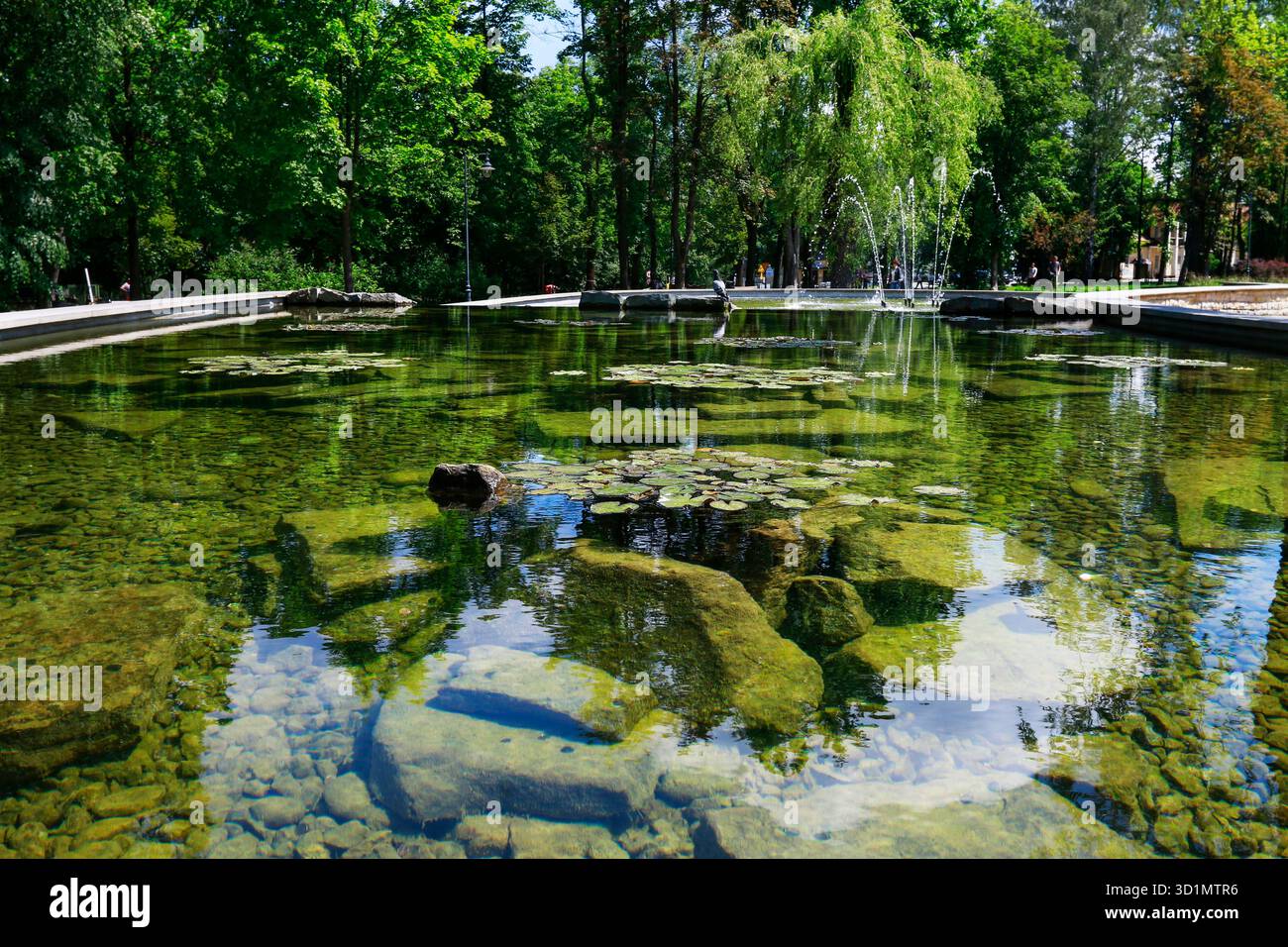 Beautiful pond with stones and plants. Wild nature Stock Photo - Alamy