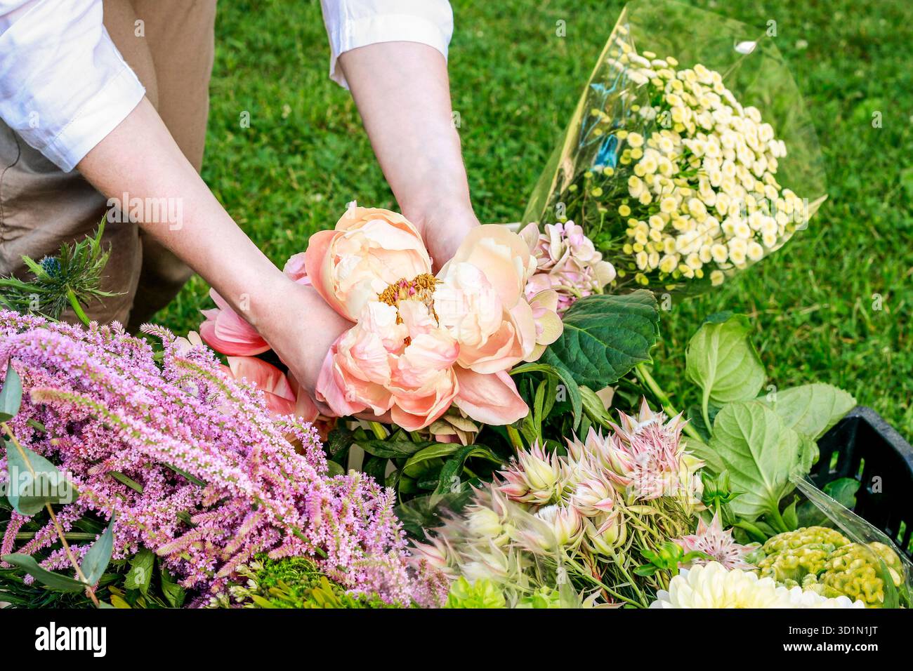 Woman holding protea flower hi-res stock photography and images - Alamy