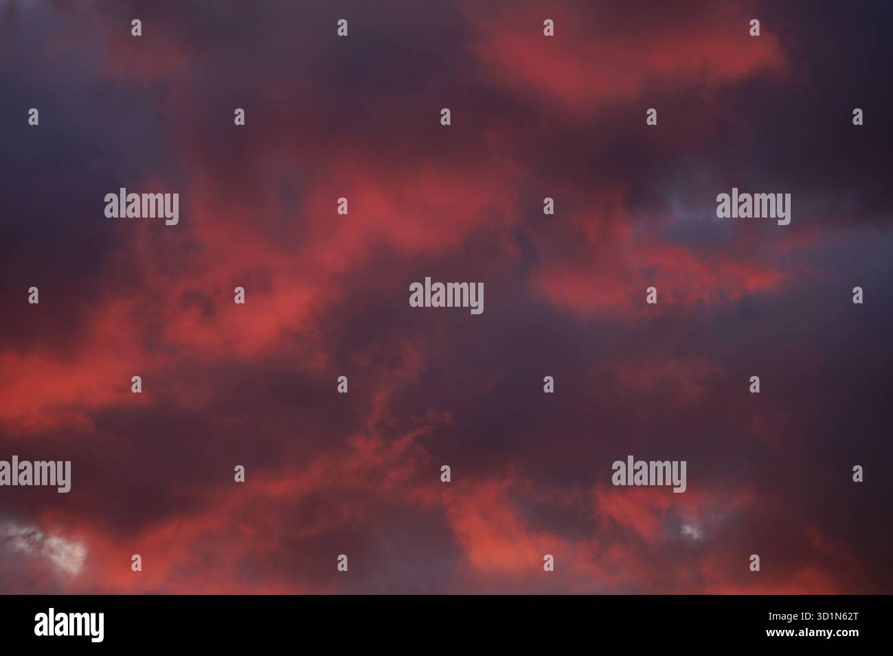 Blood red, amber orange, shades of purple, and dark blue hues mix and ...