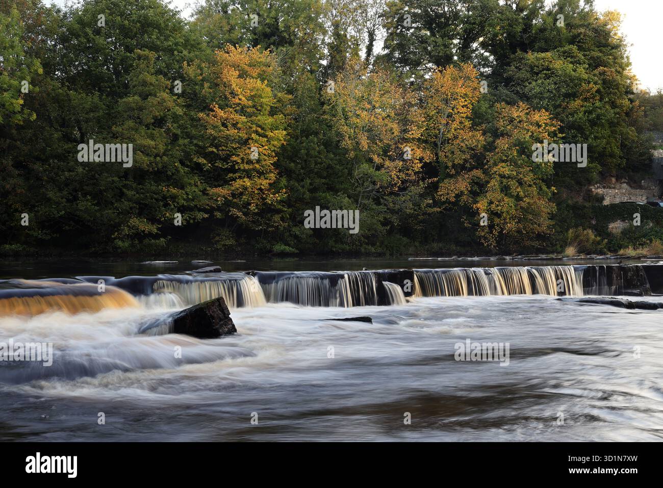 The River Tees Flowing over Mill Falls in Autumn, Barnard Castle ...