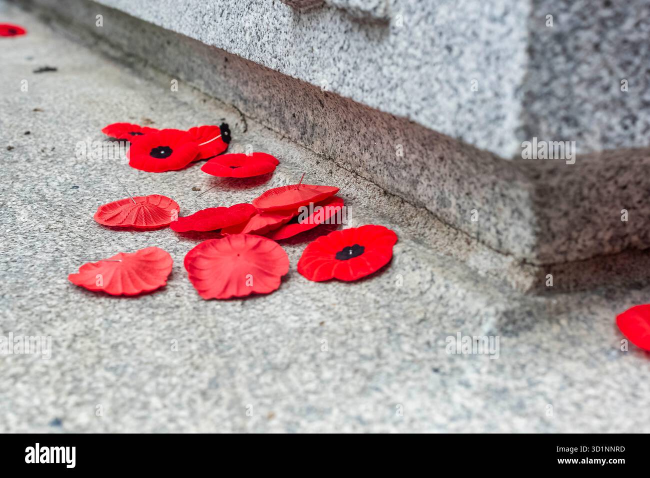 Poppies on the cenotaph at old city hall in down town Toronto Stock ...
