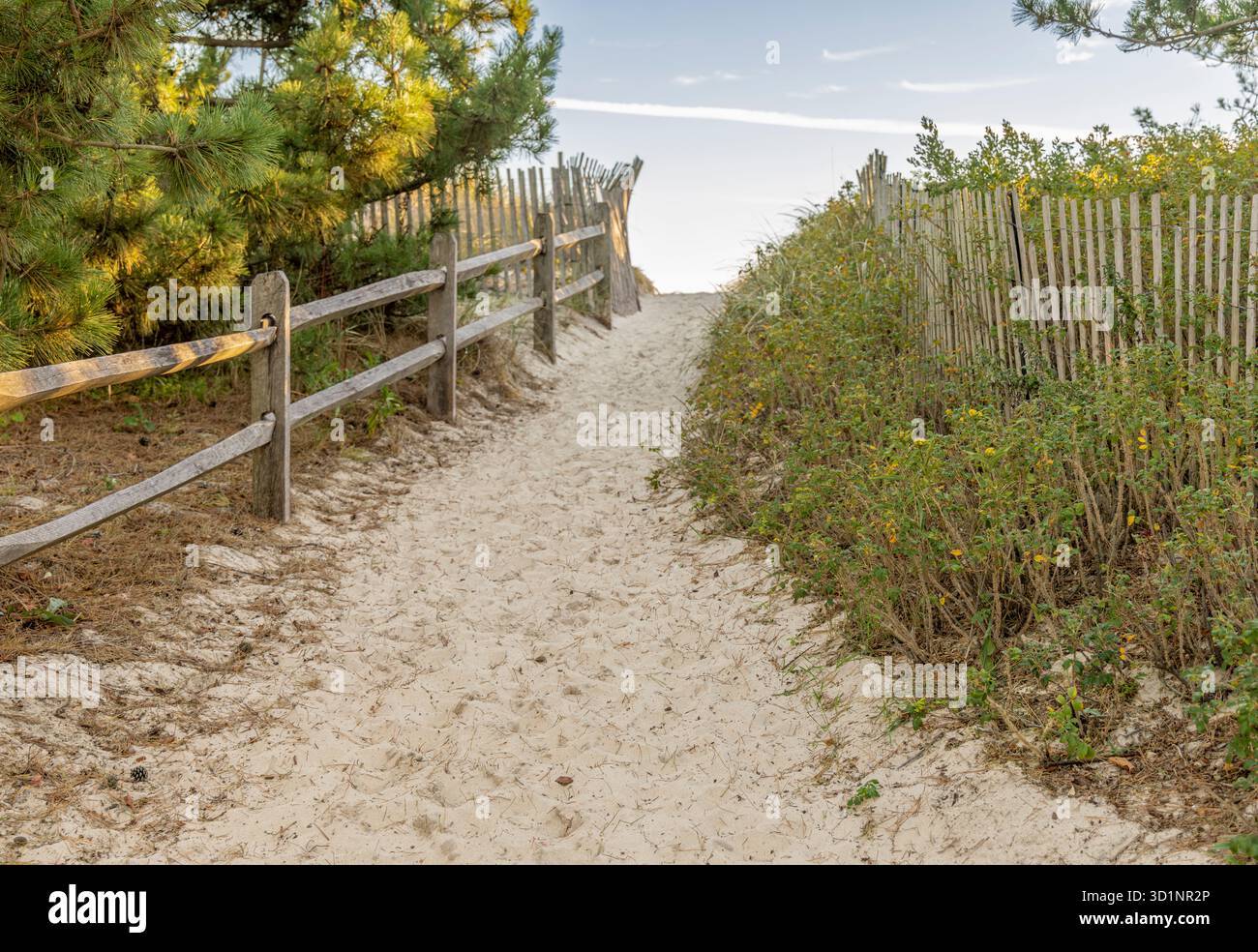 Crude path hi-res stock photography and images - Alamy