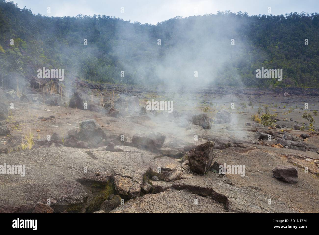 Barren bottom of Kilauea Crater with sulfur gas vents n Hawaii ...