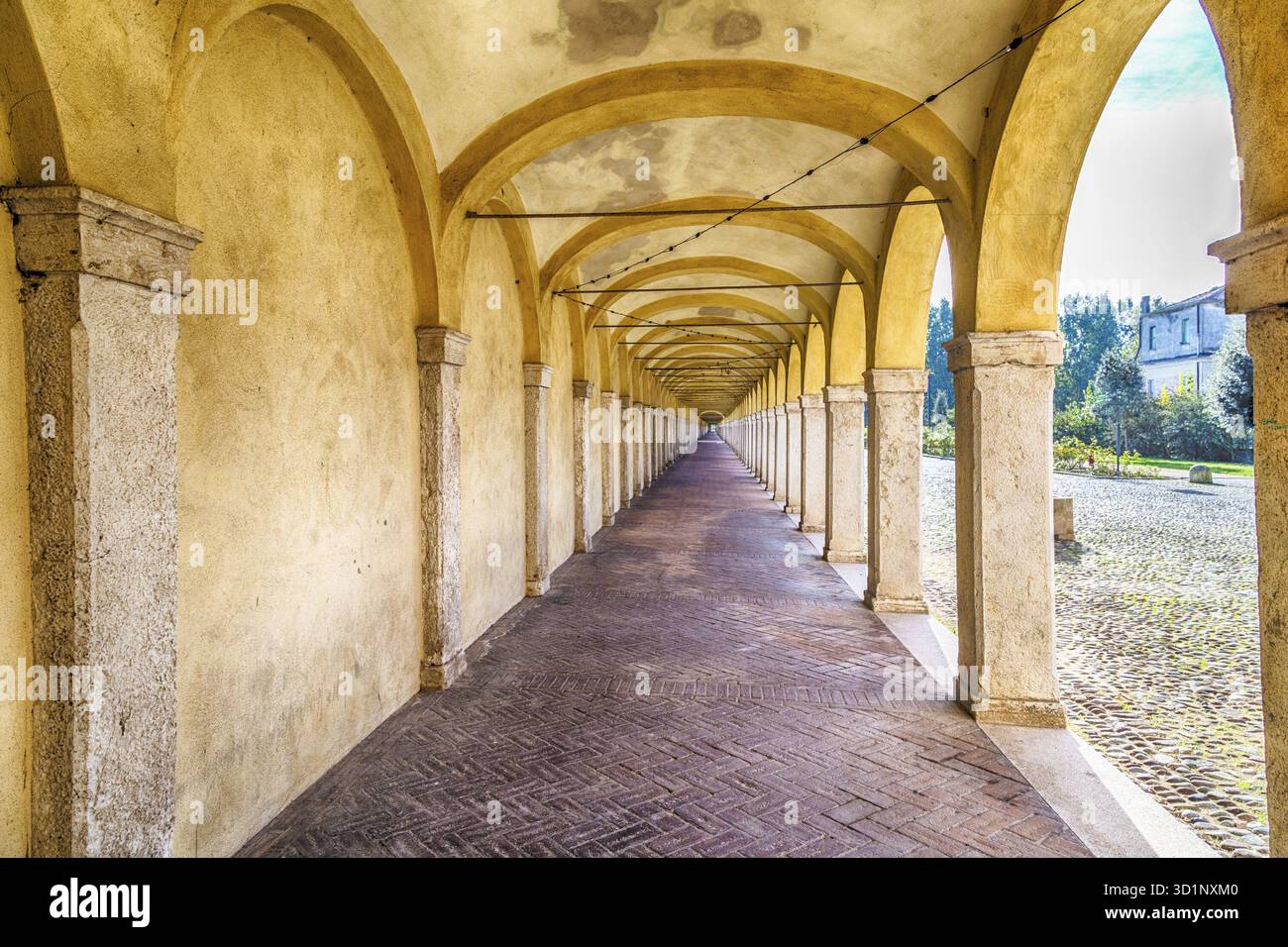 Tree arch in ancient hi-res stock photography and images - Alamy