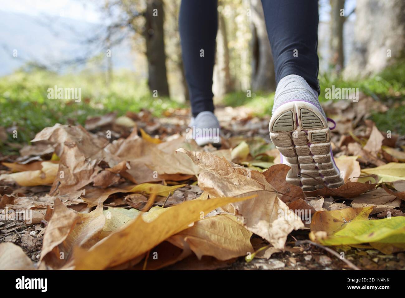 Close up of feet of a runner running in autumn leaves training for ...