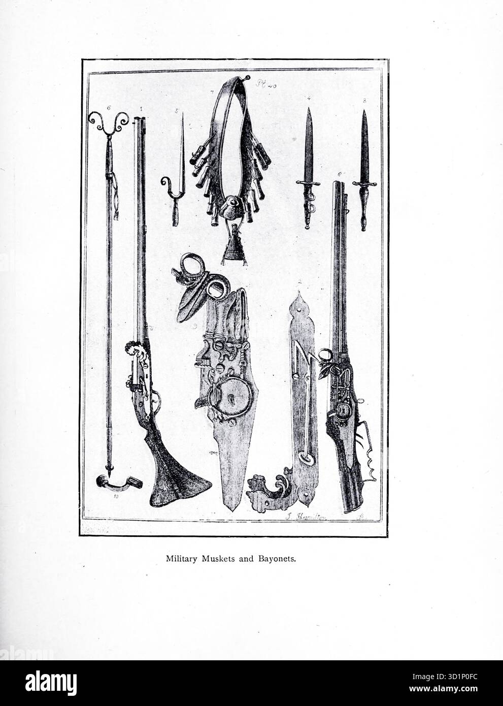 Military Muskets and Bayonets. from ' The gun and its development ' by ...