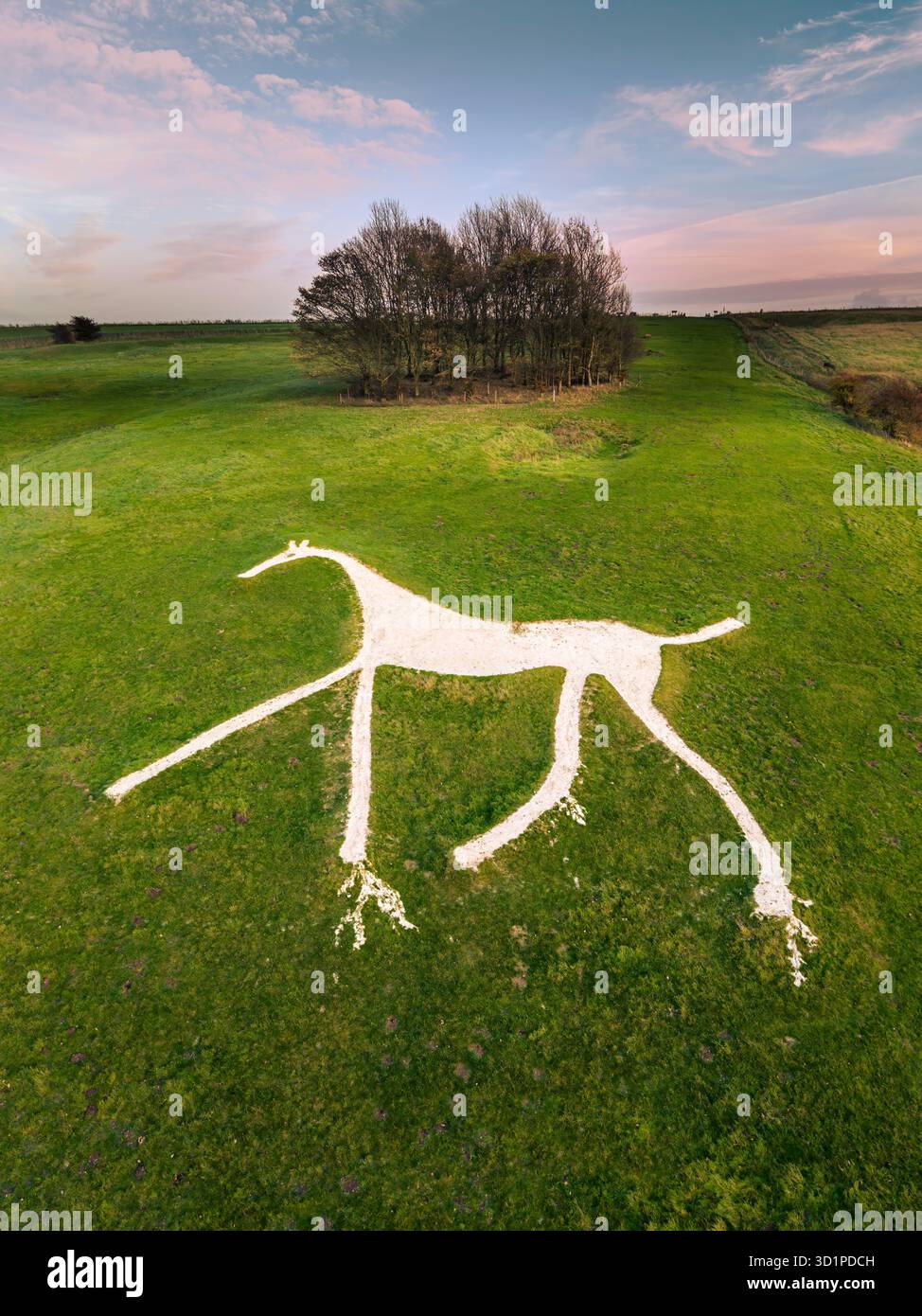 Hackpen Hill, Wiltshire - Carved to commemorate the Coronation of Queen ...