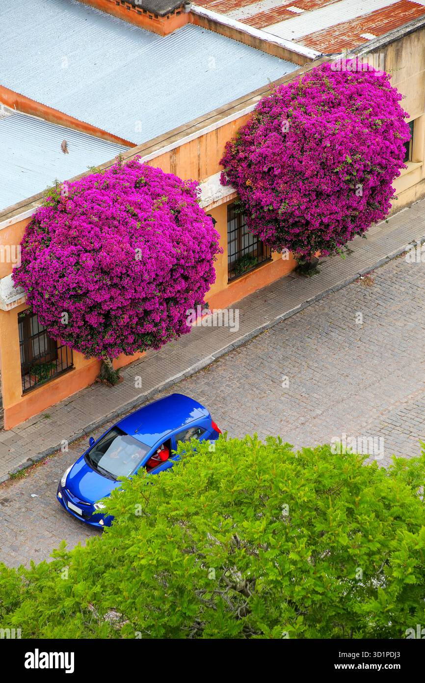 Aerial view of the street in historic quarter of Colonia del Sacramento ...