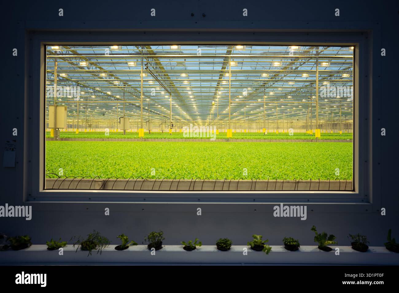 Window from laboratory to greenhouse with fields and irrigation system ...