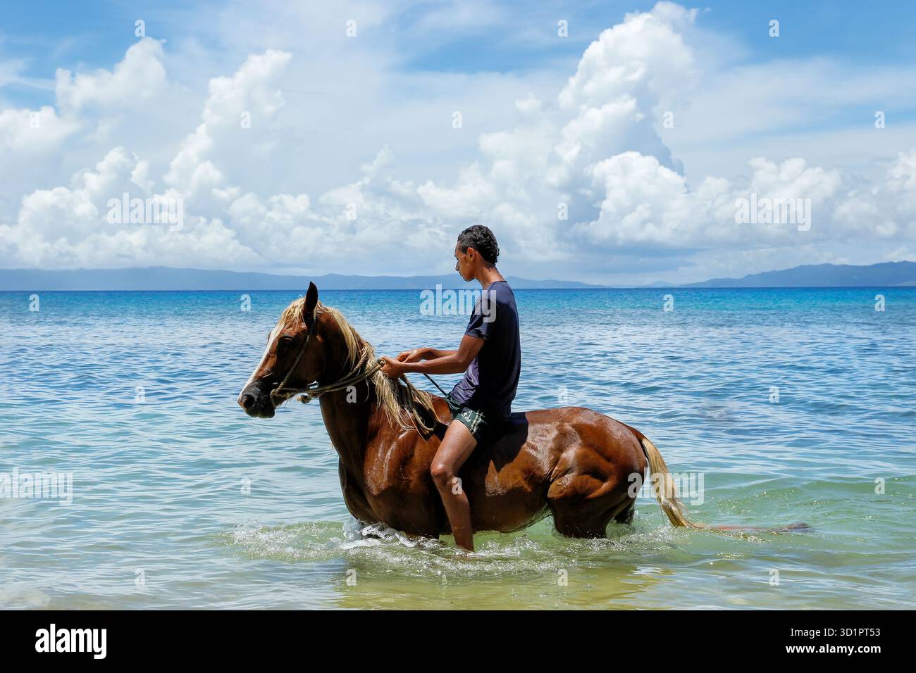 Young man riding horse on the beach on Taveuni Island, Fiji Stock Photo - Alamy