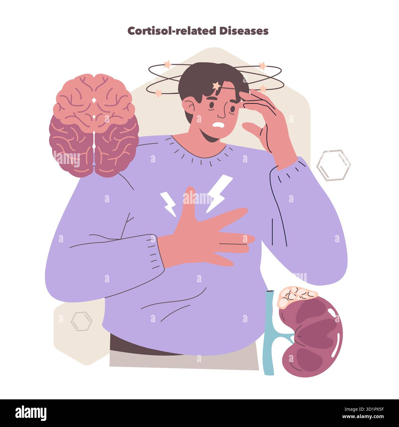 Cortisol related Cut Out Stock Images & Pictures - Alamy