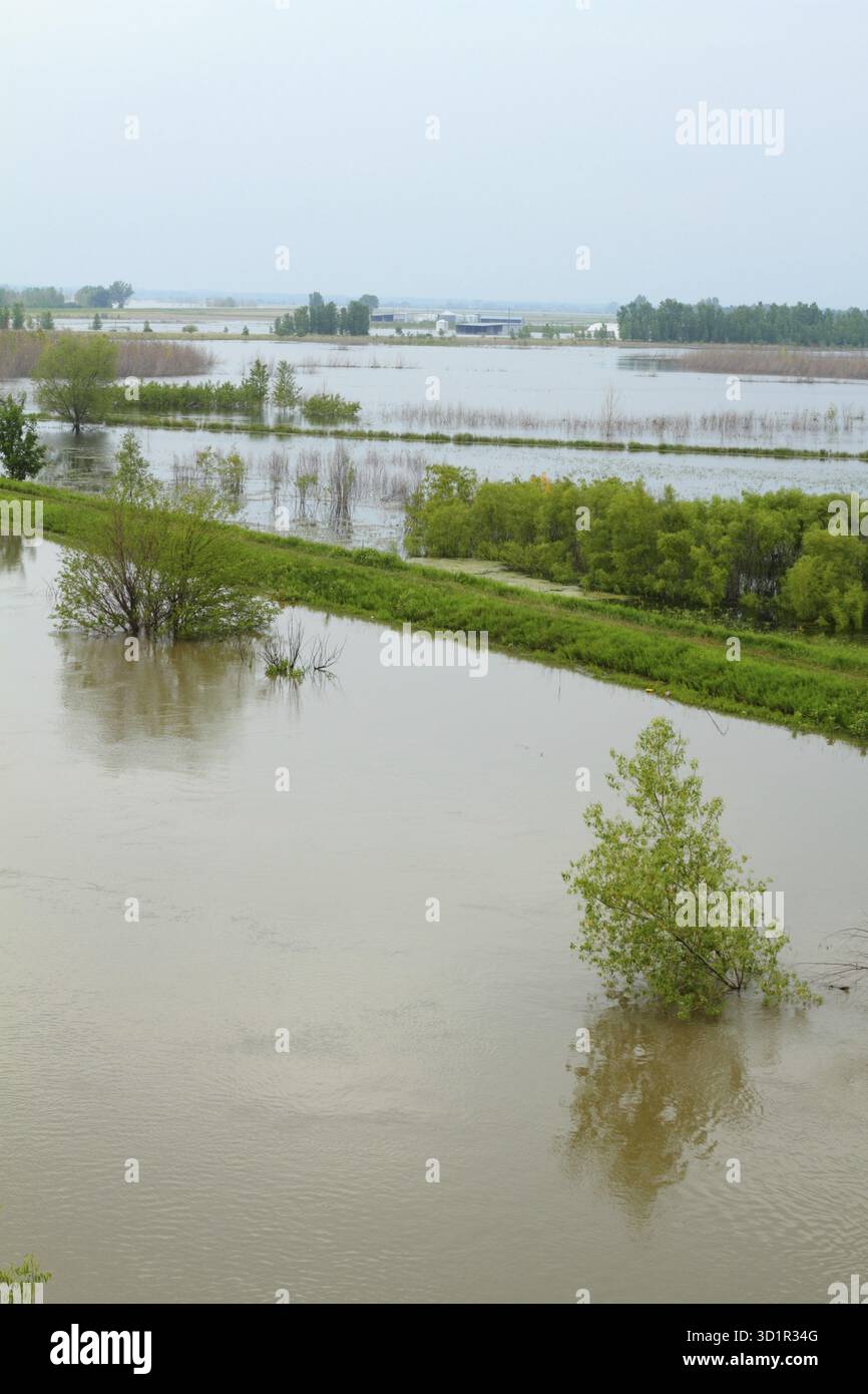 Trees and roads covered with flood water Stock Photo - Alamy