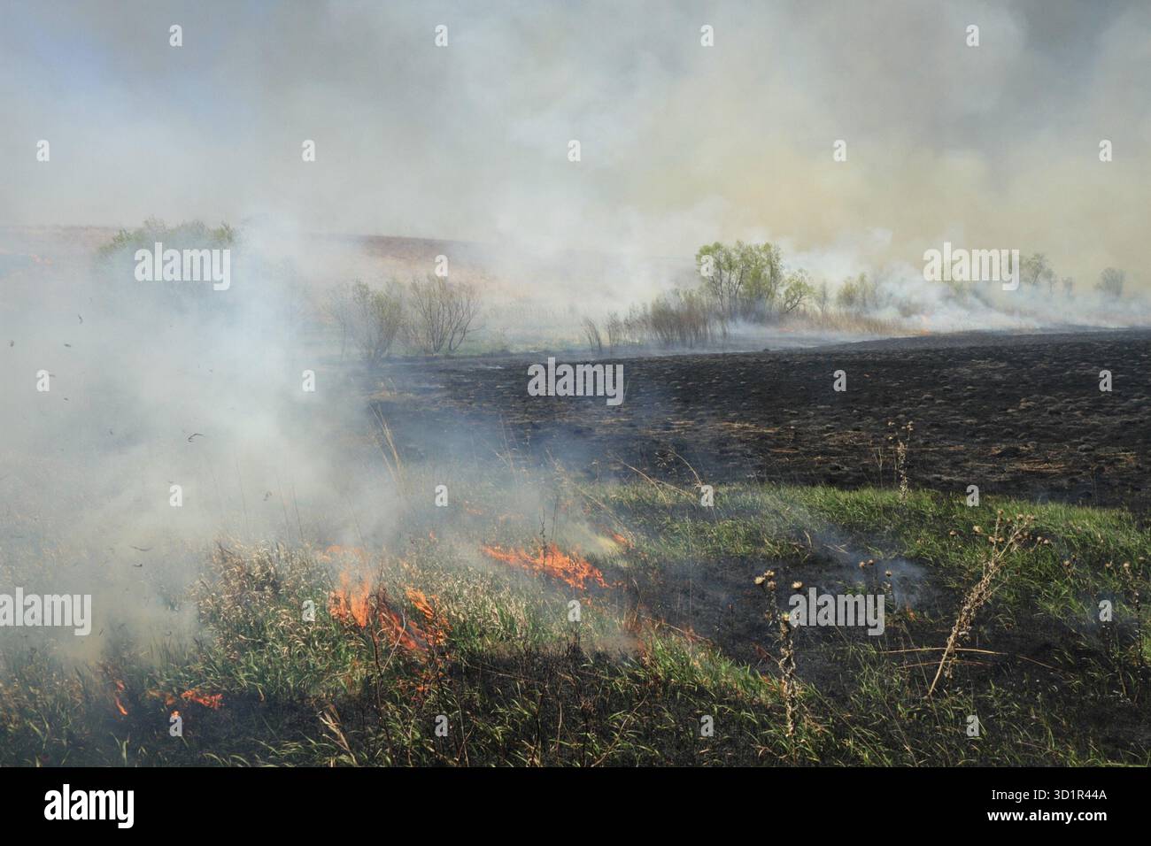 Prescribed prairie burn on the Great Plains in Nebraska Stock Photo - Alamy