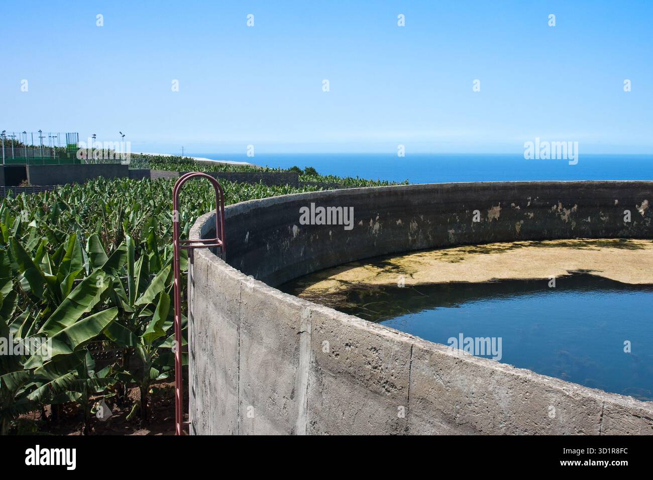 Irrigation basin in banana plantation at La Palma Stock Photo - Alamy