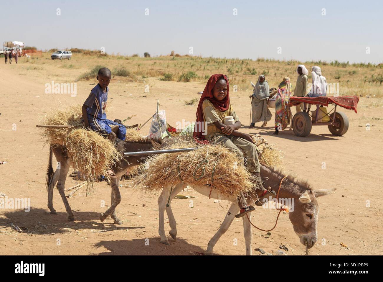 Sudanese who fled el-Fasher city, after Sudan's paramilitary forces ...