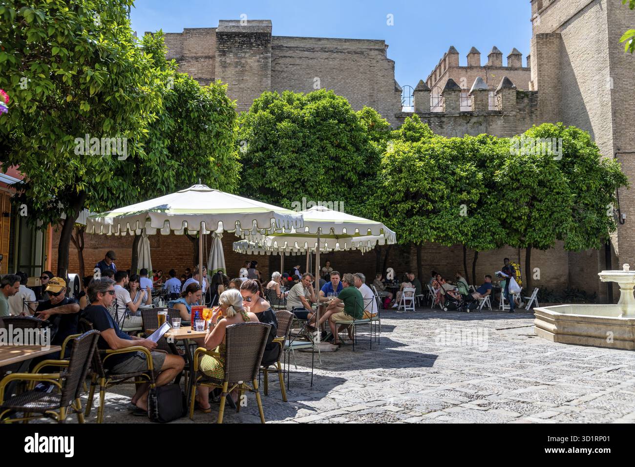 Sevilla, Sevilla - Spain â€“ 04-19-2024: Scenic cafe in Seville's Santa ...