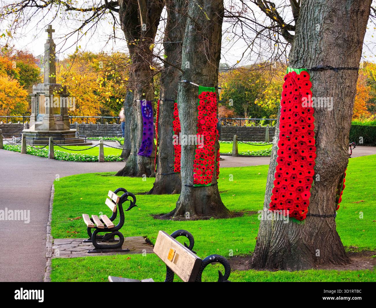 Remembrance poppy display on trees and war memorial in the castle ...
