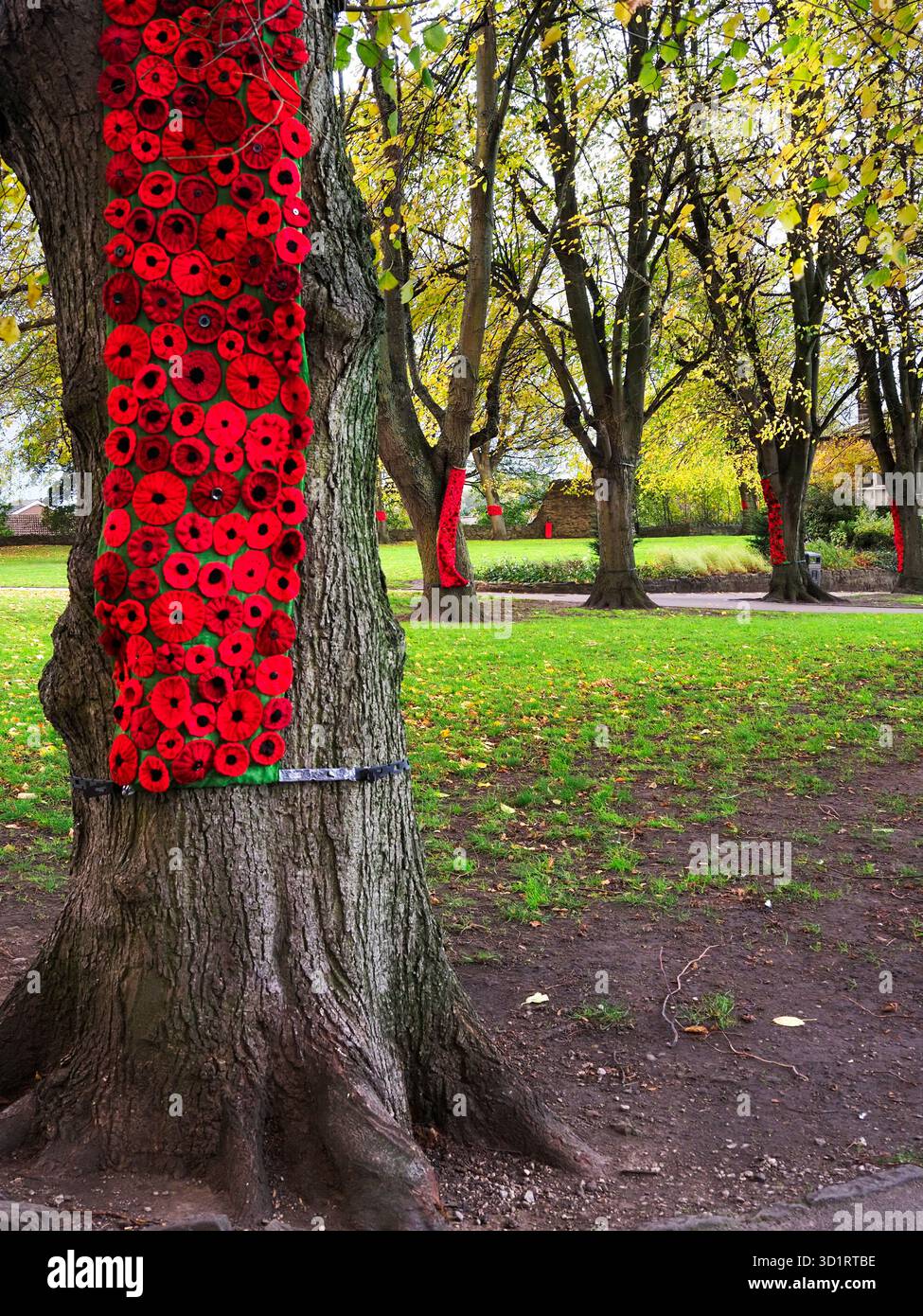 Remembrance poppy display on trees in the castle grounds at ...
