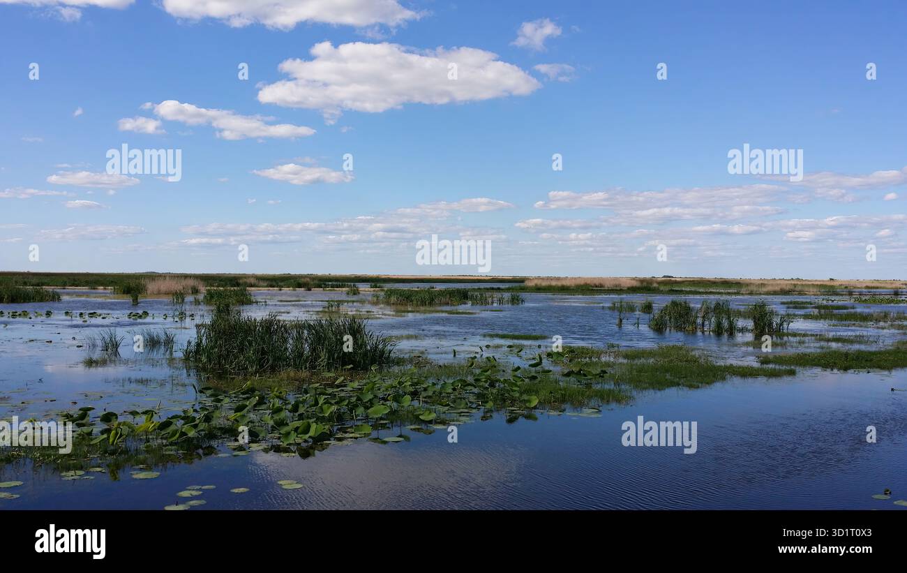 Anahuac national wildlife hi-res stock photography and images - Alamy