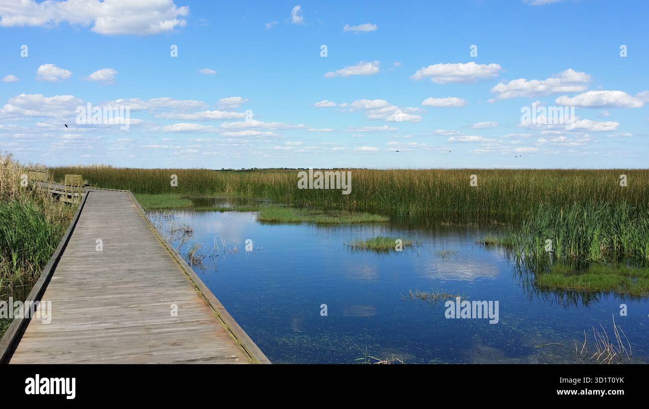 Anahuac national wildlife hi-res stock photography and images - Alamy