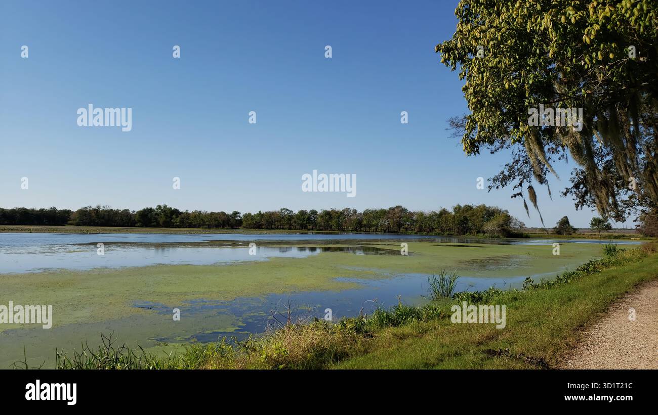 Brazos Bend State Park, Texas Stock Photo - Alamy