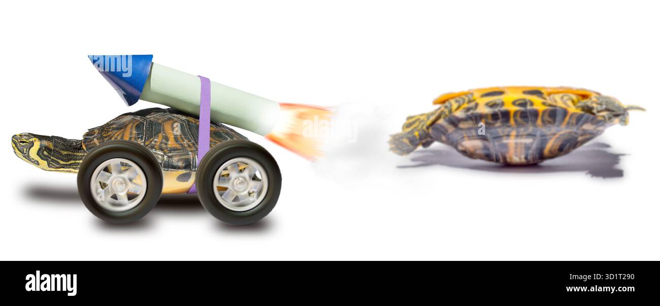 turtle waiting to use a rocket propulsion to go faster and advancing an ...