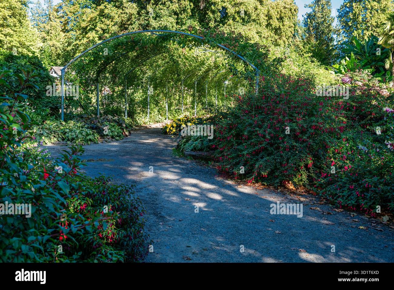 A arbor at Point Defiance Park in Tacoma, Washington Stock Photo - Alamy