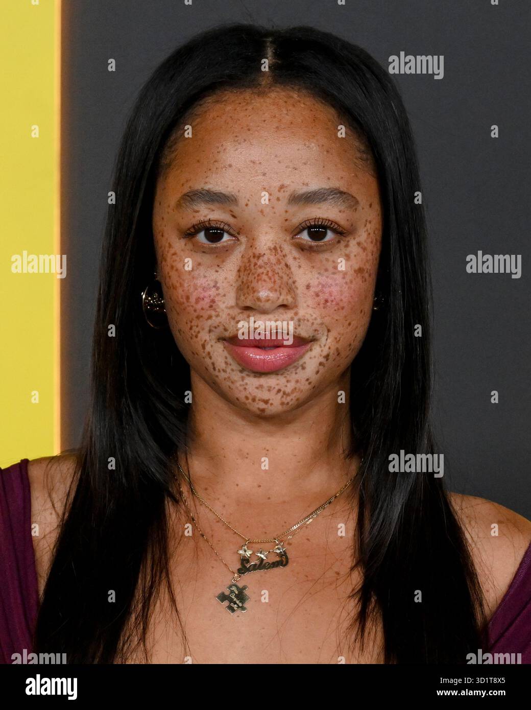 October 28, 2025, Los Angeles, California, USA: American model and ...