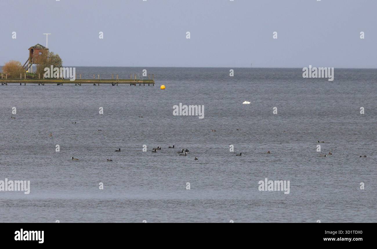 Lough Neagh, Kinnego, County Armagh, Northern Ireland, UK. 29 Oct 2025 ...