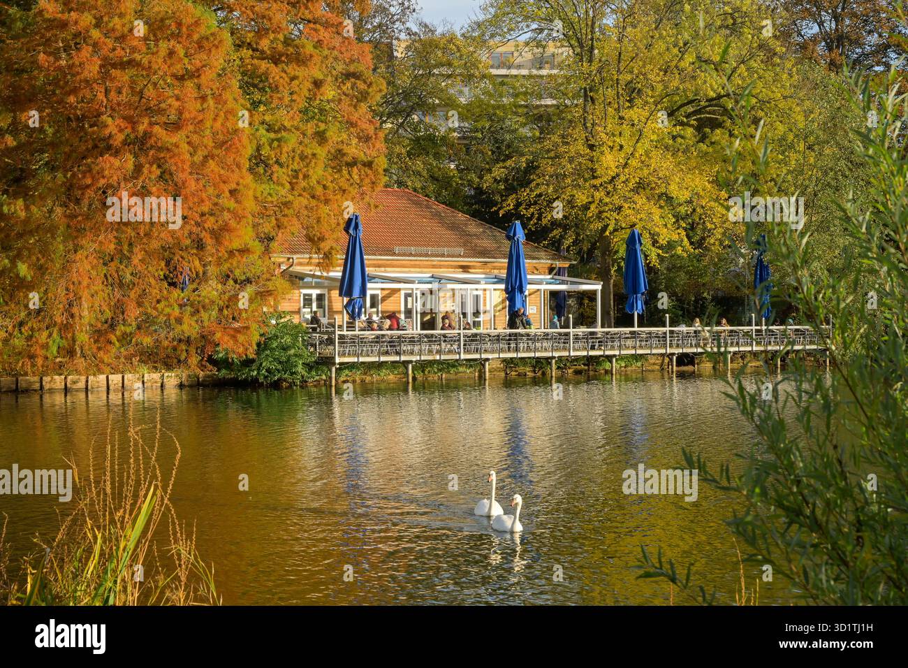 Herbst am Lietzensee, Bootshaus Stella, Charlottenburg, Berlin ...