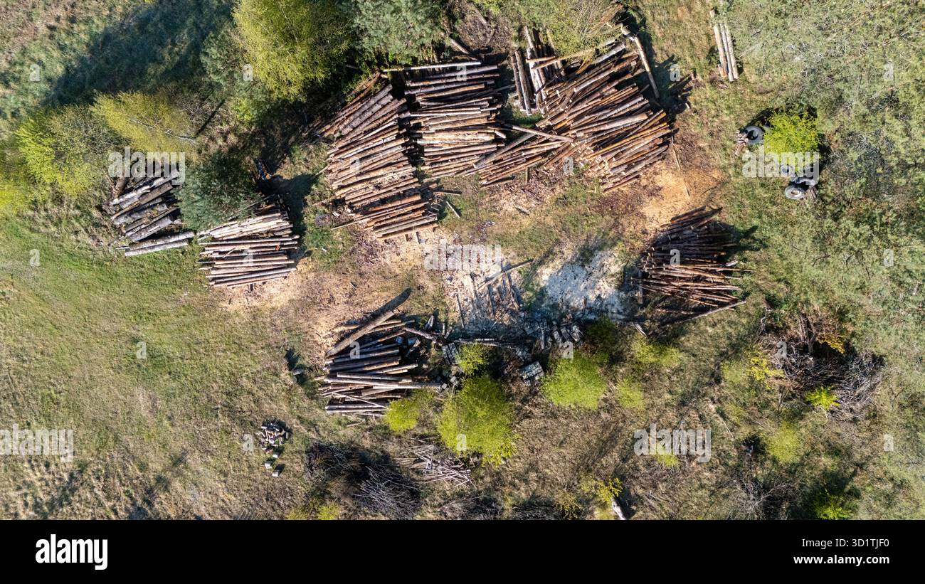 Aerial view stacked logs in hi-res stock photography and images - Alamy