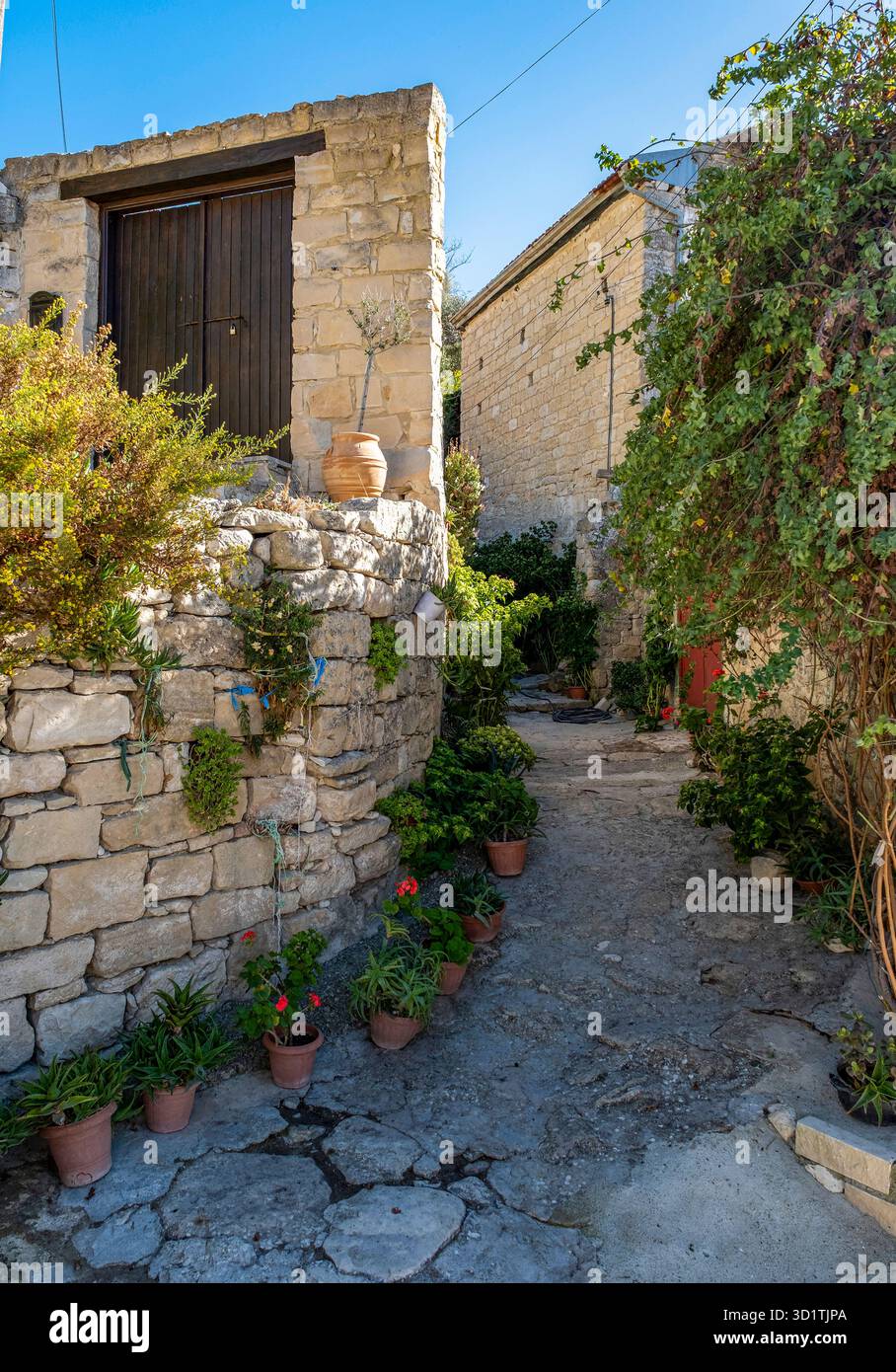 Narrow alleyway decorated with plants, Dora Village, Cyprus Stock Photo ...