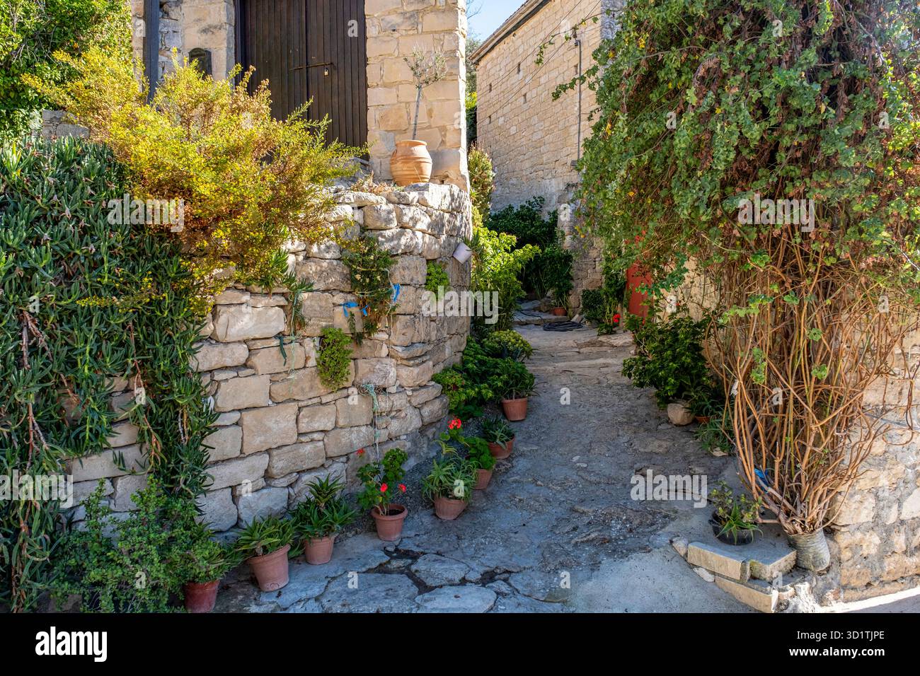 Narrow alleyway decorated with plants, Dora Village, Cyprus Stock Photo ...