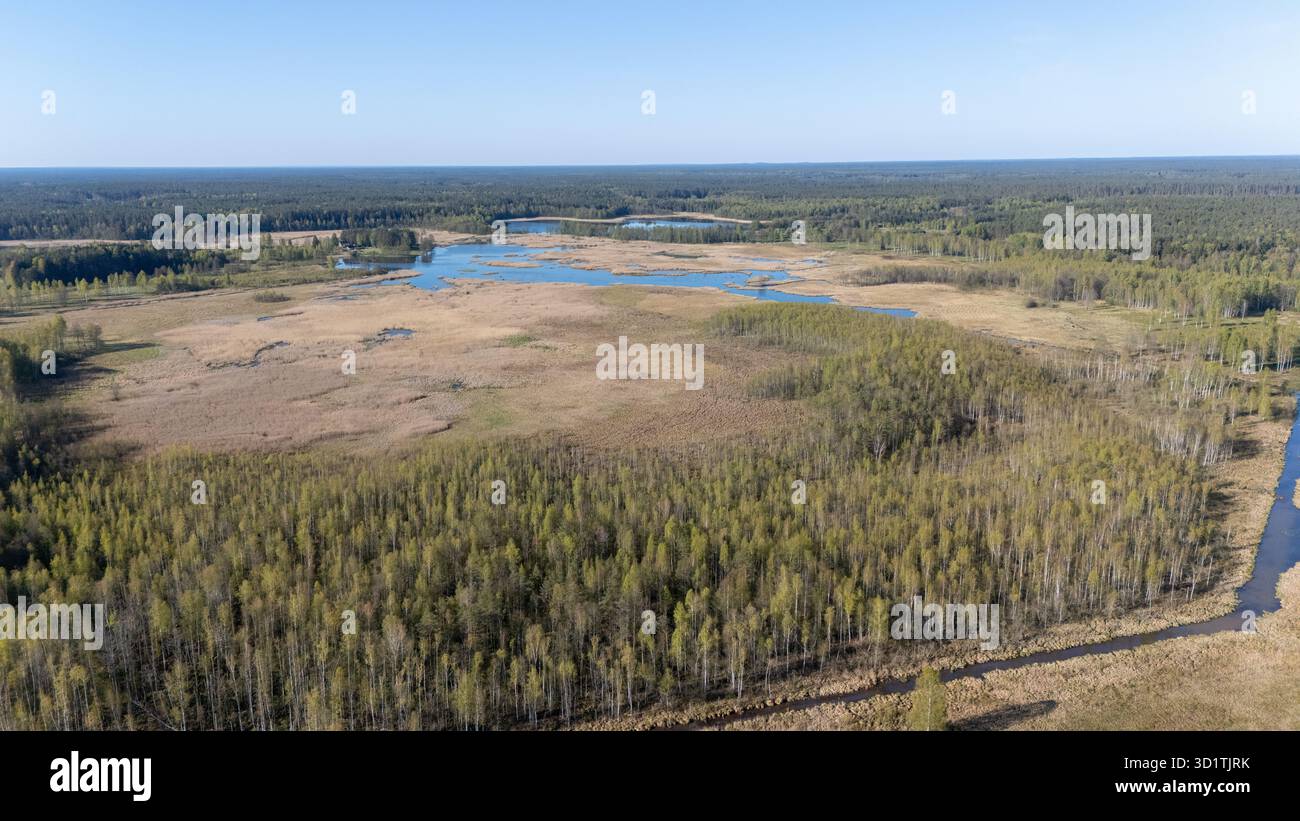 Aerial view of a vast wetland area with patches of water and green ...