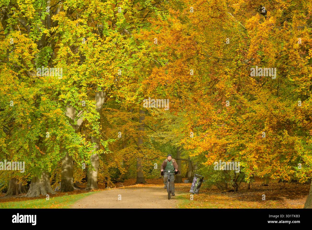 Herbst im Park Großer Tiergarten, Mitte, Berlin, Deutschland *** Autumn ...