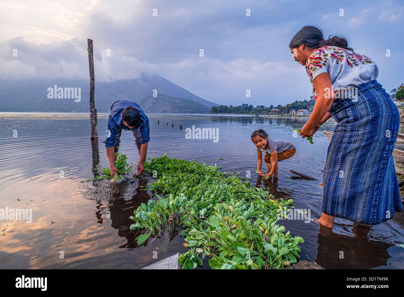 Farmers family farmers in hi-res stock photography and images - Alamy