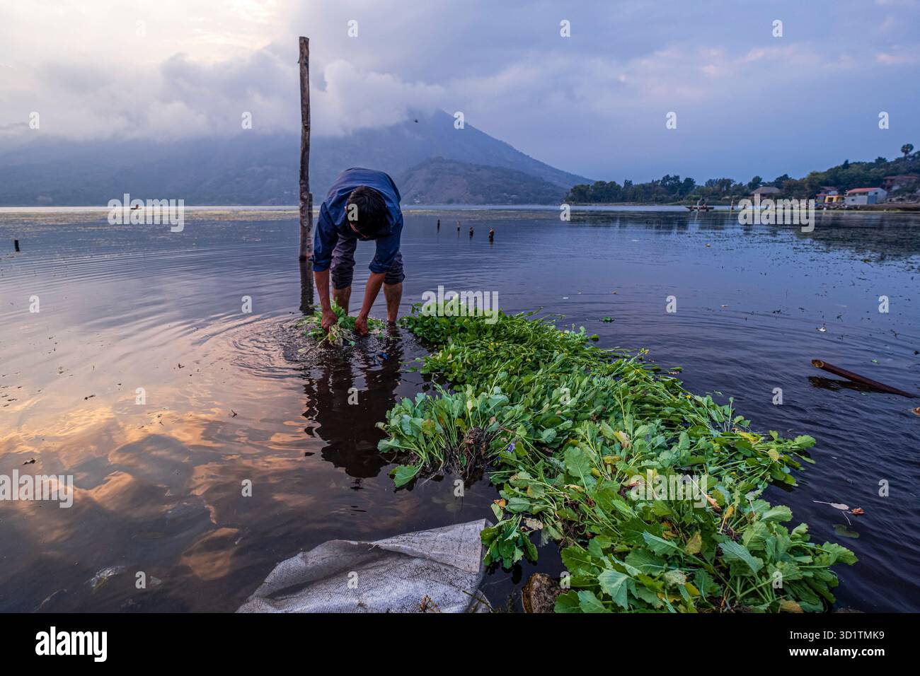 Farmers family farmers in hi-res stock photography and images - Alamy
